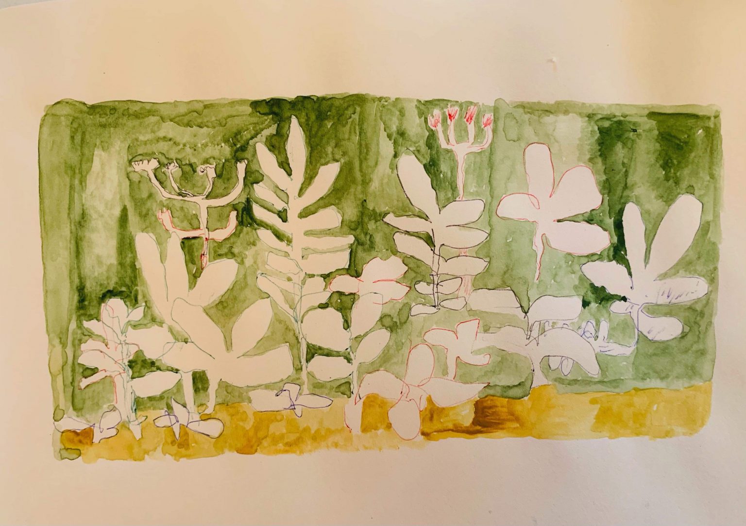 Kato Tomoya 加藤 智哉